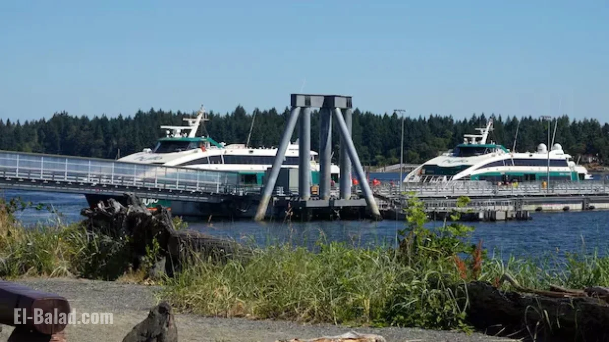 Hullo Ferries Vessel Hits Humpback Whale Near Vancouver: DFO - El-Balad.com