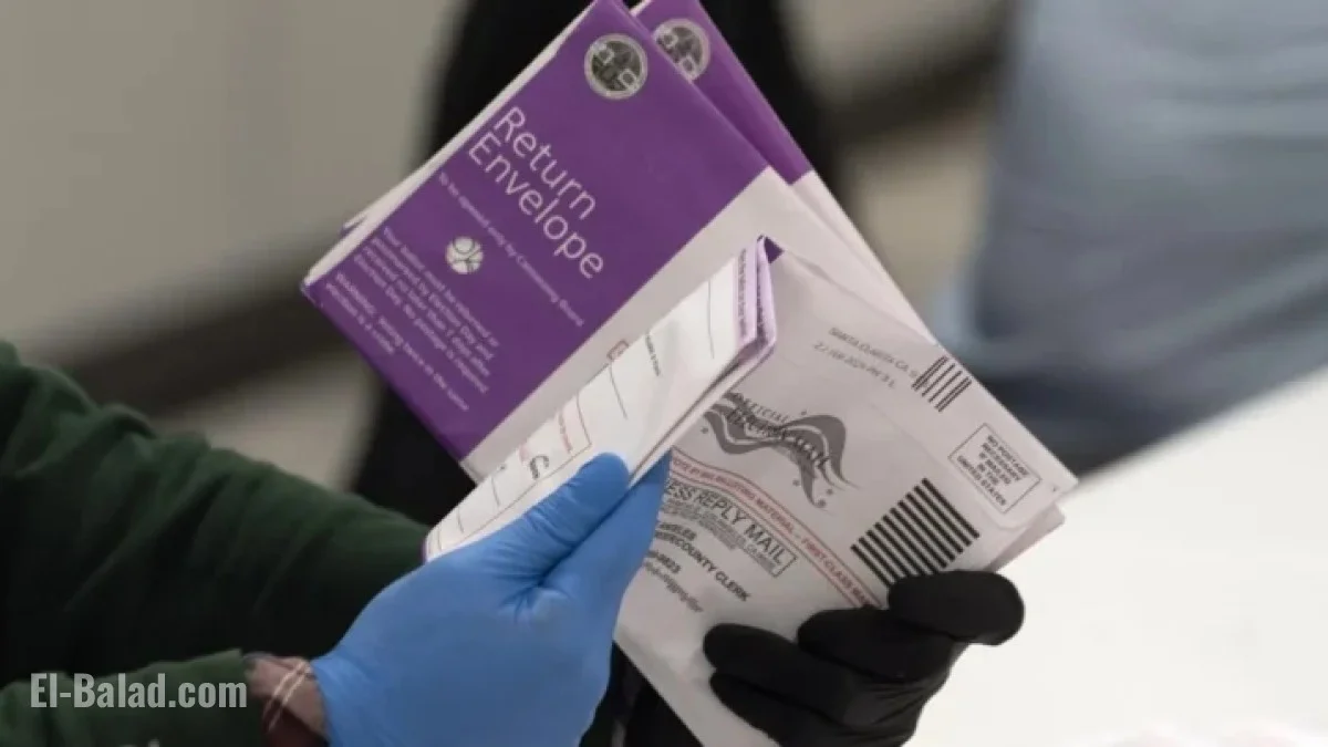 California Prop. 50 Special Election Sees Surprising Voter Turnout - El ...