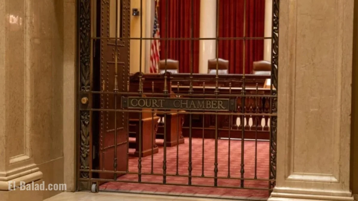 Minnesota Supreme Court Backs Transgender Athlete in USA Powerlifting ...