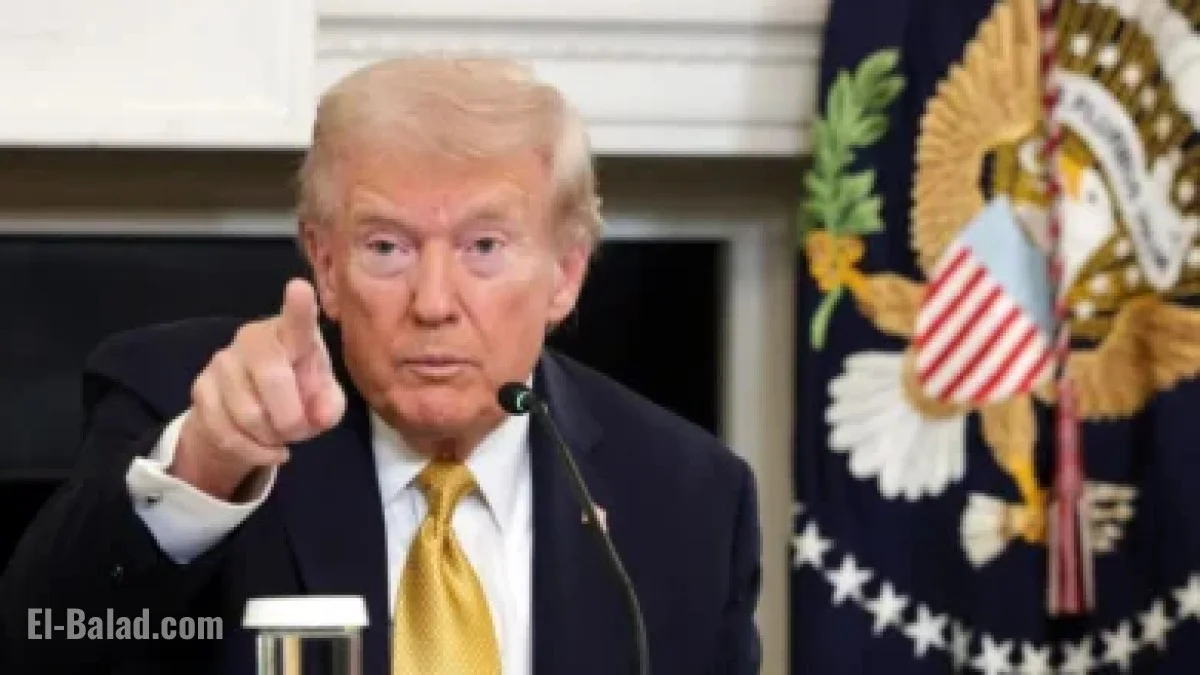 Virginia Weather: Ashburn’s Forecast Revealed - El-Balad.com