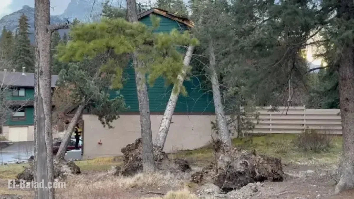 Environment Canada Alerts: Southern Alberta to Face 115 km/h Wind Gusts ...