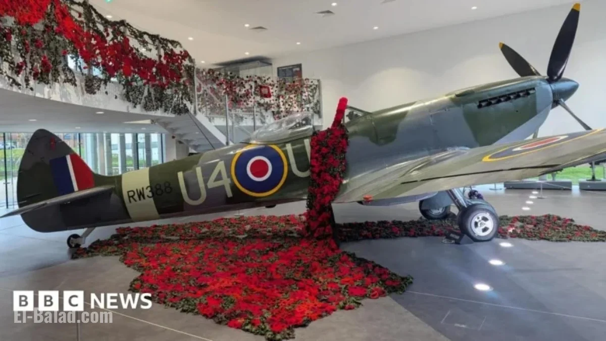 West Midlands Displays Remembrance Poppies: A Visual Tribute - El-Balad.com