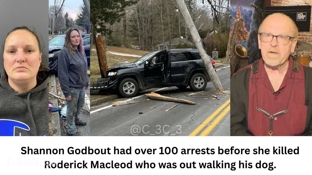 Shannon Godbout: Rhode Island Driver With 100+ Prior Arrests Charged in ...