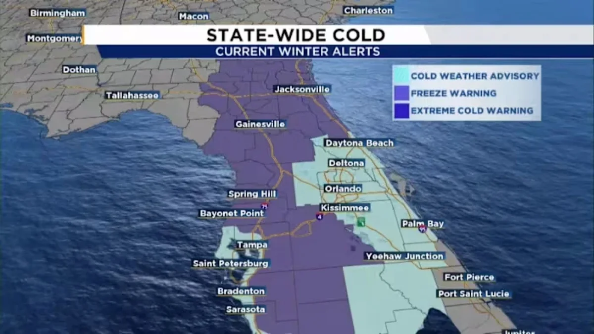Florida Freeze: Neighborhoods Most Impacted by Cold Snap - El-Balad.com