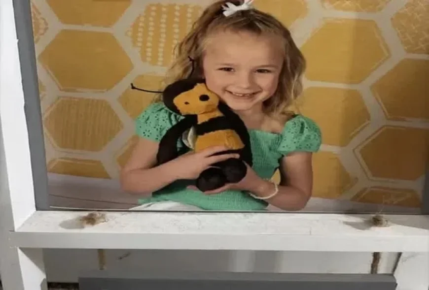 Child Found Safe After Wednesday Night AMBER Alert - El-Balad.com