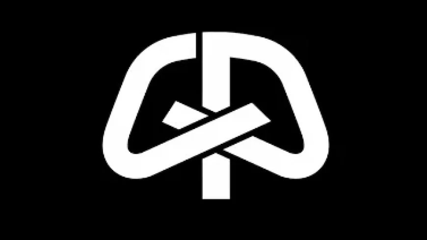 Cole Palmer Unveils Ingenious Logo with Dual Meaning - El-Balad.com