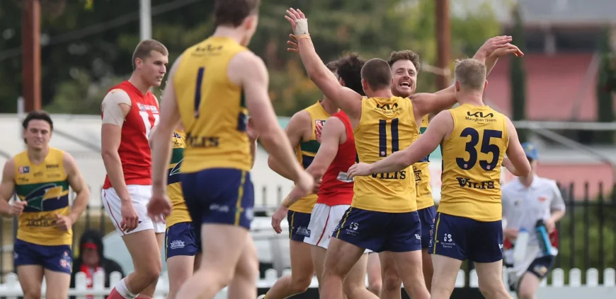 Eagles Hold Sanfl Edge Before Glenelg Round 6 Clash - El-Balad.com